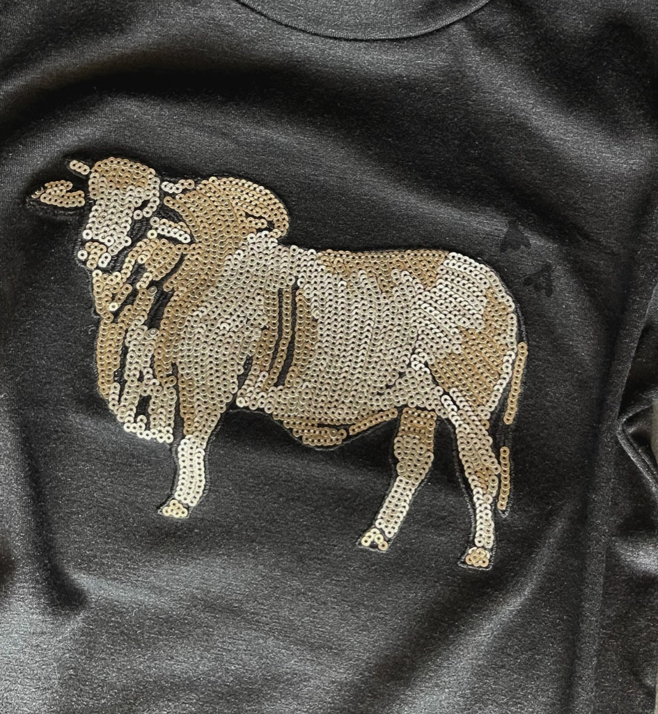 Brahma sequined patch top – Boho & Jangles Boutique