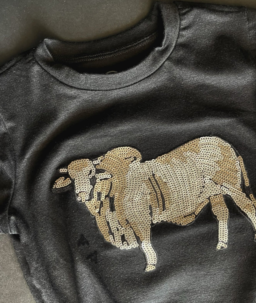 Brahma sequined patch top – Boho & Jangles Boutique